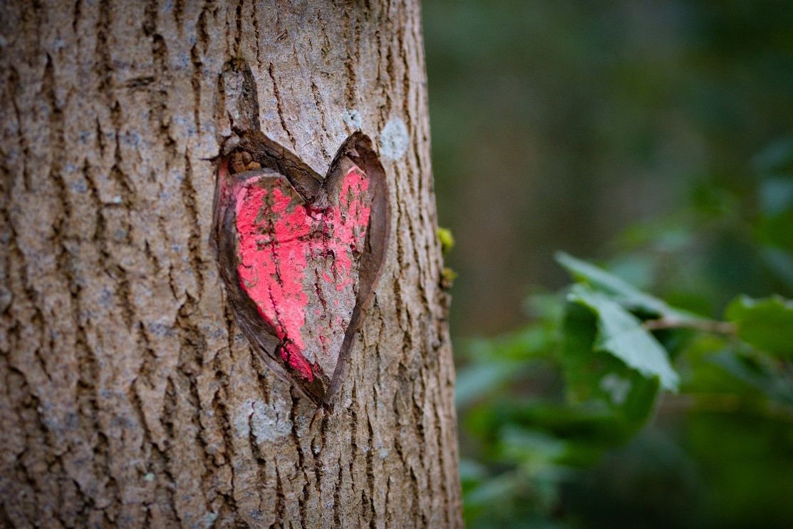 APOY 2025 – Round 5 – Celebrating Colour – kaztakesphotos